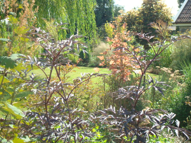 Midney Gardens & Nurseries - Southfork Caravan Park - SuperUser Account