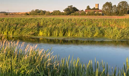 The River Parrett Trail - Southfork Caravan Park - SuperUser Account