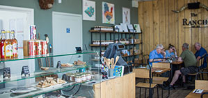 Southfork Caravan Park, Martock, Somerset